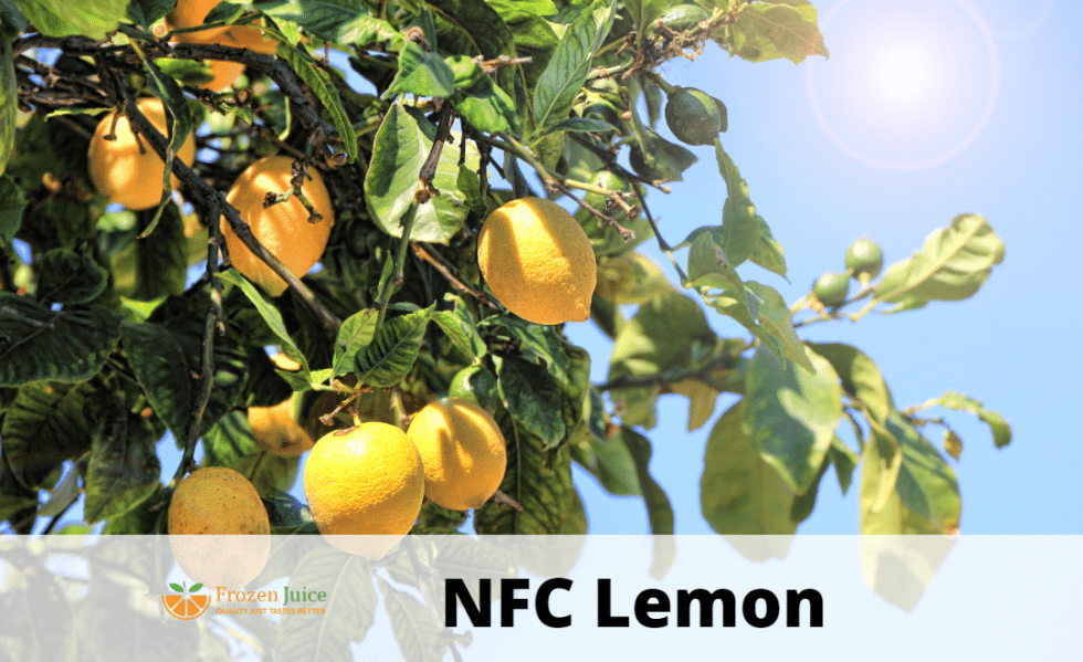 NFC Lemon Juice | Frozen Juice Spain